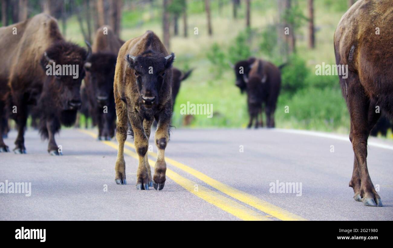 BREAKING BOUNDARIES: THE SCIENCE OF OUR PLANET, 2021. © Netflix ...