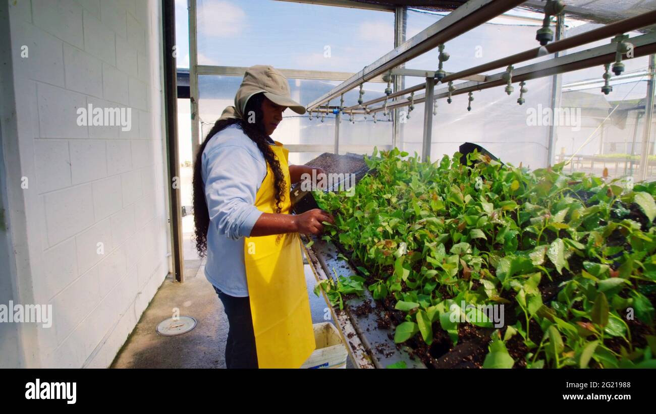 BREAKING BOUNDARIES: THE SCIENCE OF OUR PLANET, 2021. © Netflix ...