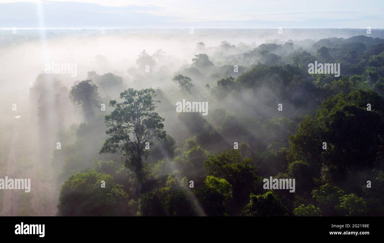 BREAKING BOUNDARIES: THE SCIENCE OF OUR PLANET, 2021. © Netflix ...