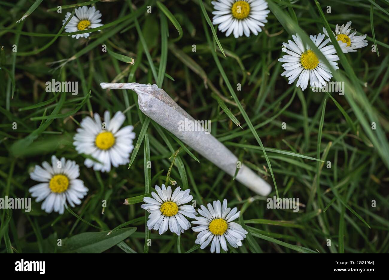 Marijuana joint hi-res stock photography and images - Alamy