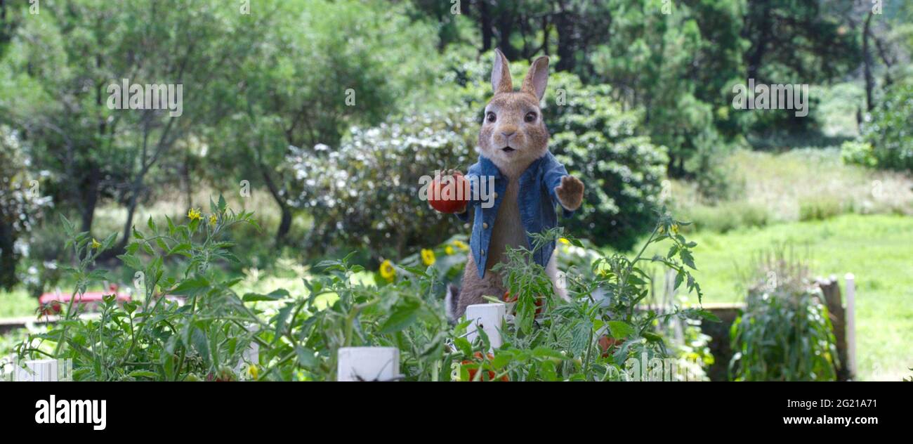 PETER RABBIT 2: THE RUNAWAY, (aka PETER RABBIT 2), Peter Rabbit (voice ...