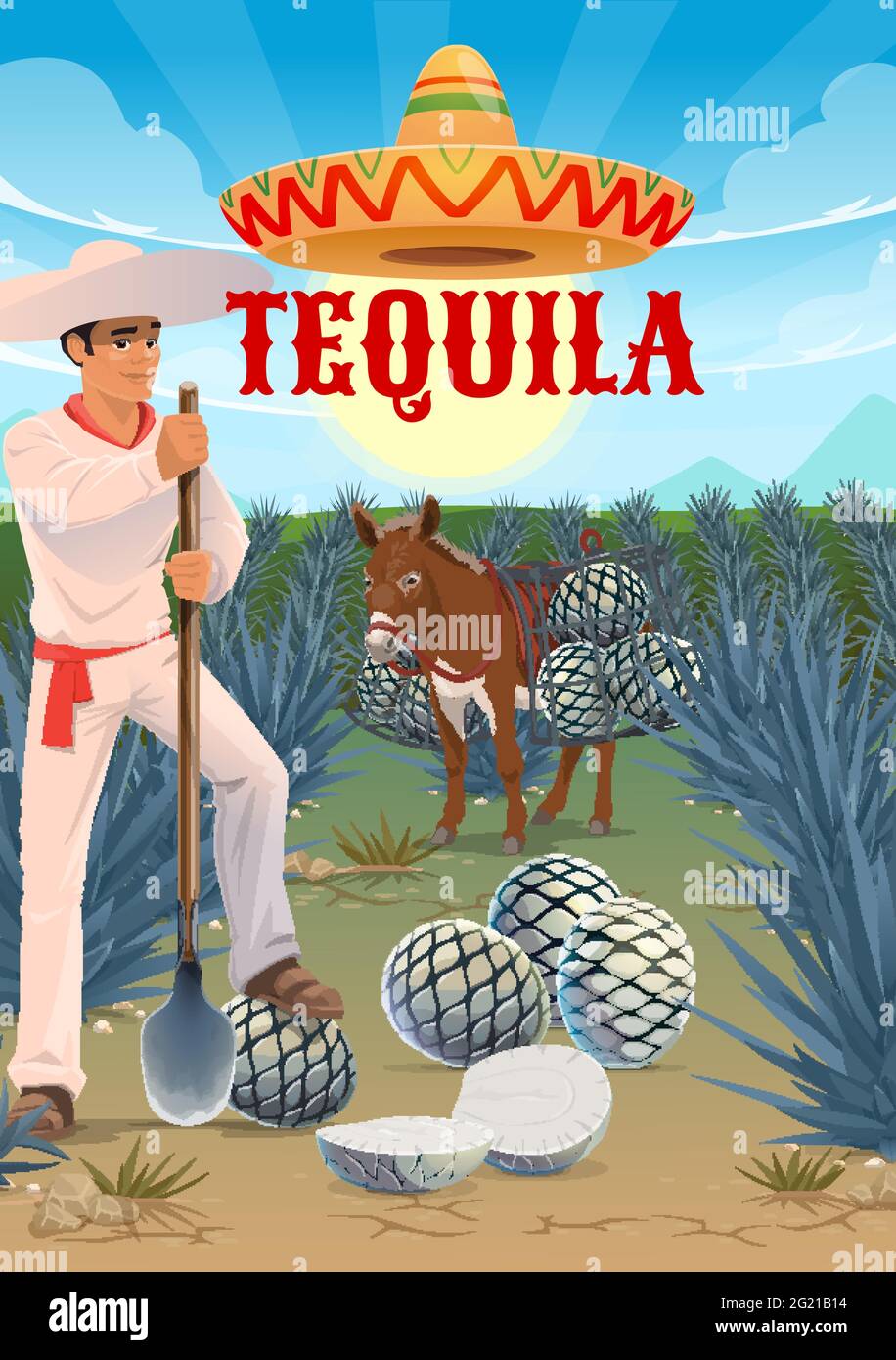 Tequila process Stock Vector Images - Alamy