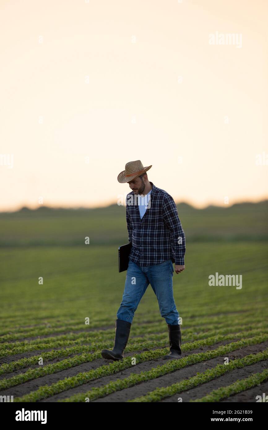 Man agronomist walking in soy field carrying laptop. Young farmer using ...