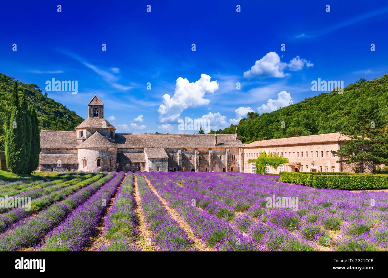 Abbaye de Senanque, Provence. Lavender field with monastery Notre-Dame ...