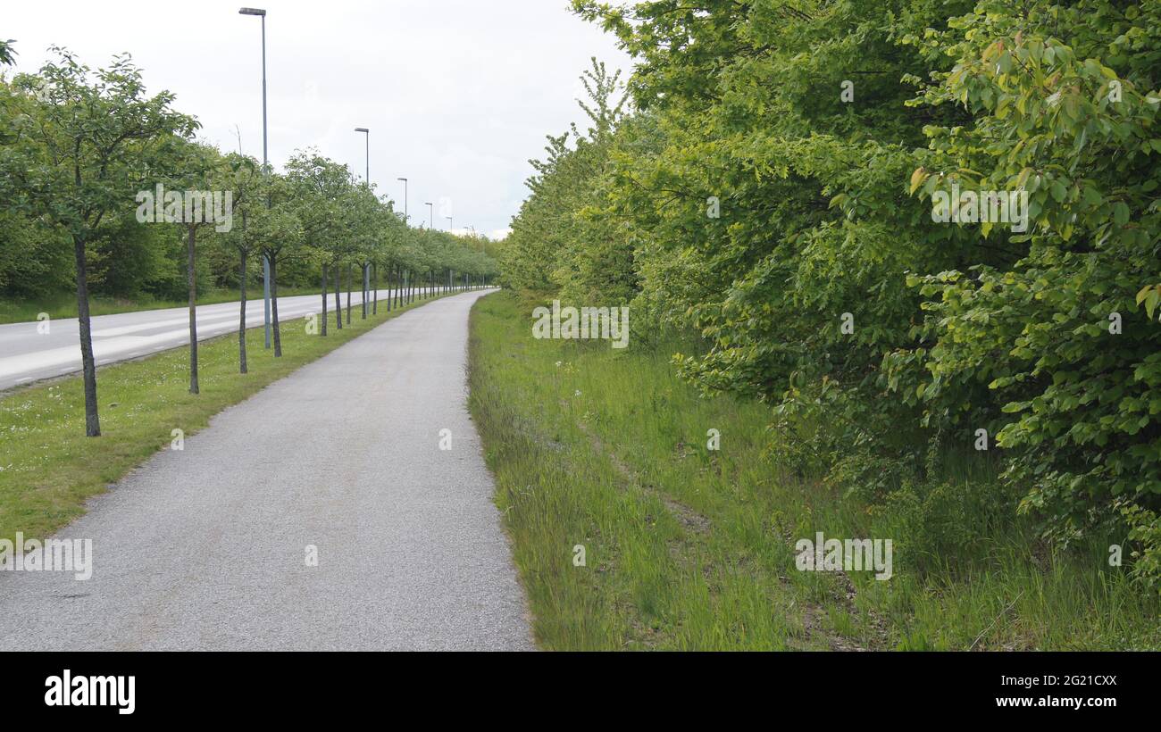 Narrow long road surrounded by green trees and grass Stock Photo - Alamy