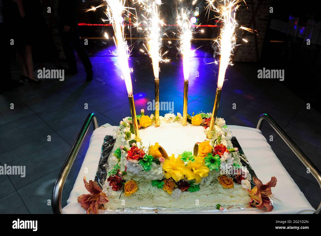 cake, cutting, table, home, apparel, attire, being, bride, cake ...
