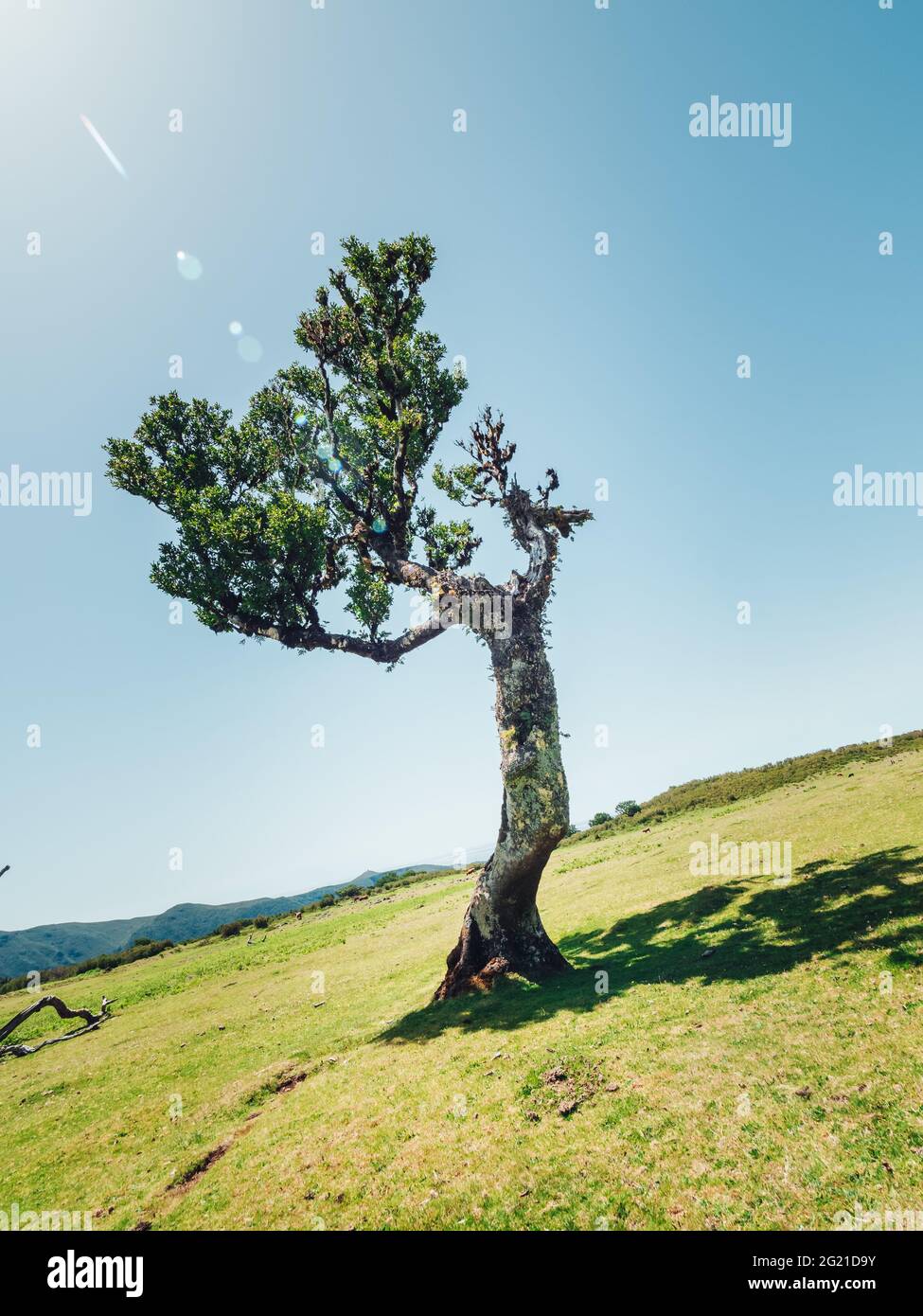 Tilt slope hi-res stock photography and images - Alamy