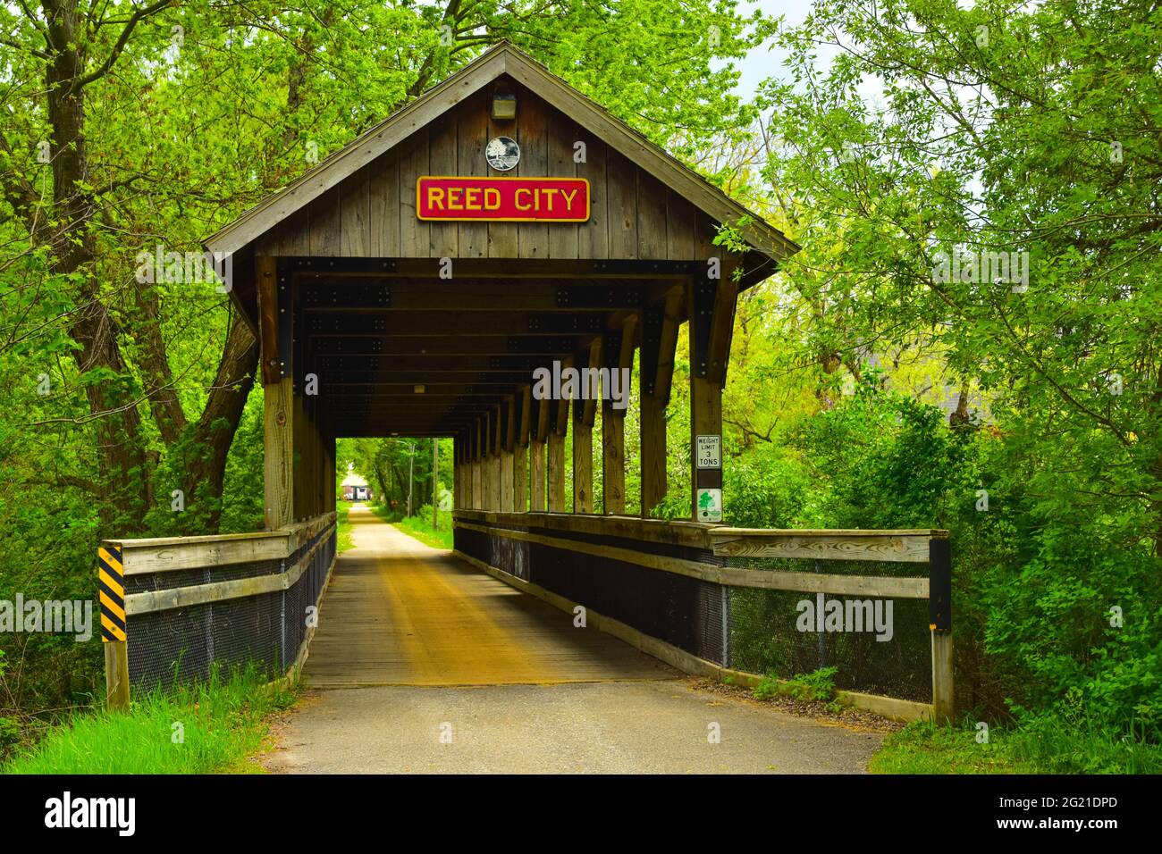 Wooden footbridge over marshy area creates a refreshing peaceful walk ...