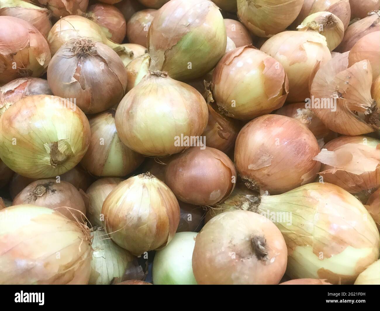Big onions on the market Stock Photo - Alamy