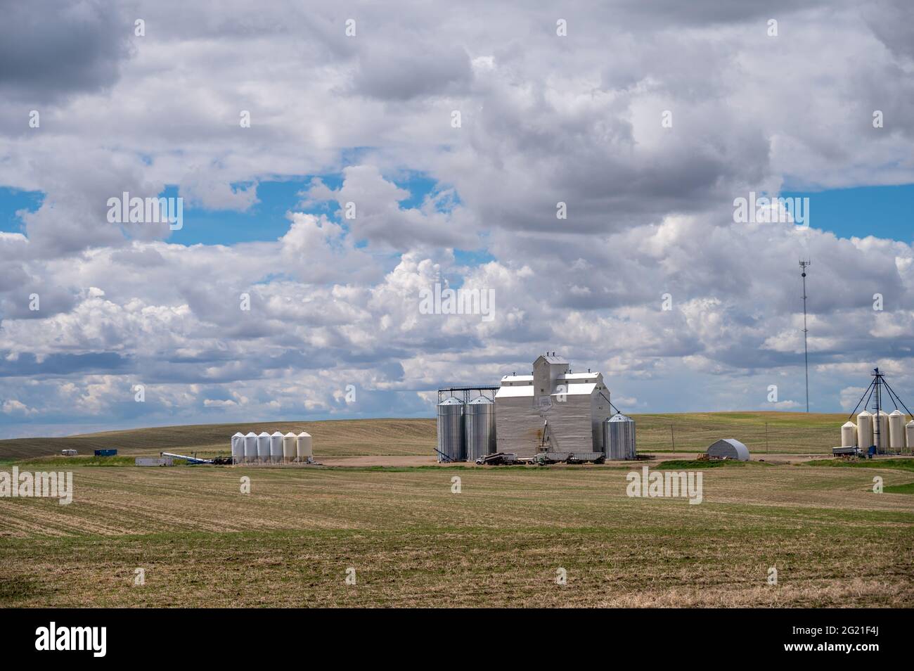 Alberta pool grain elevator hi-res stock photography and images - Alamy