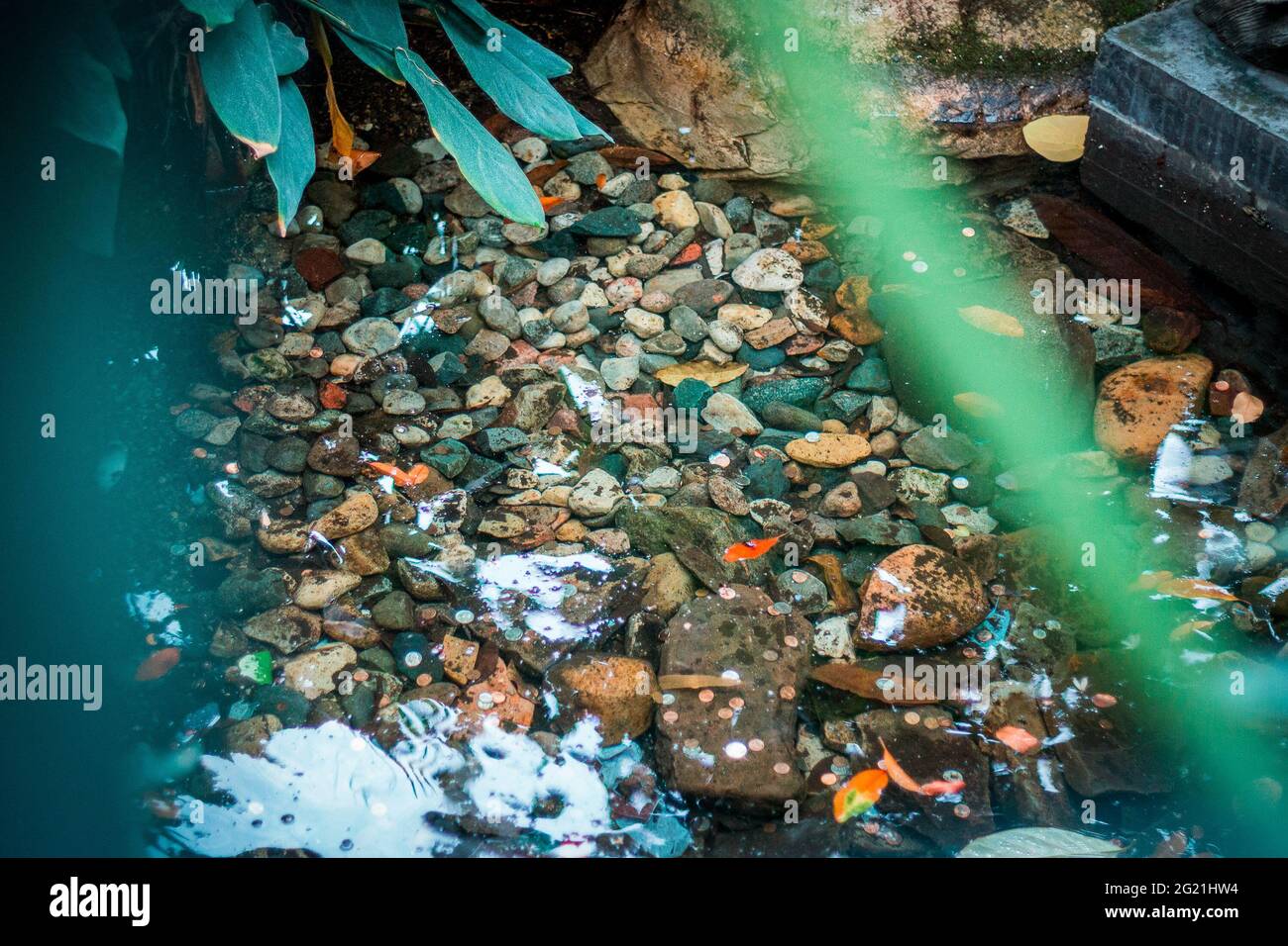 Stones in stream bed hi-res stock photography and images - Alamy