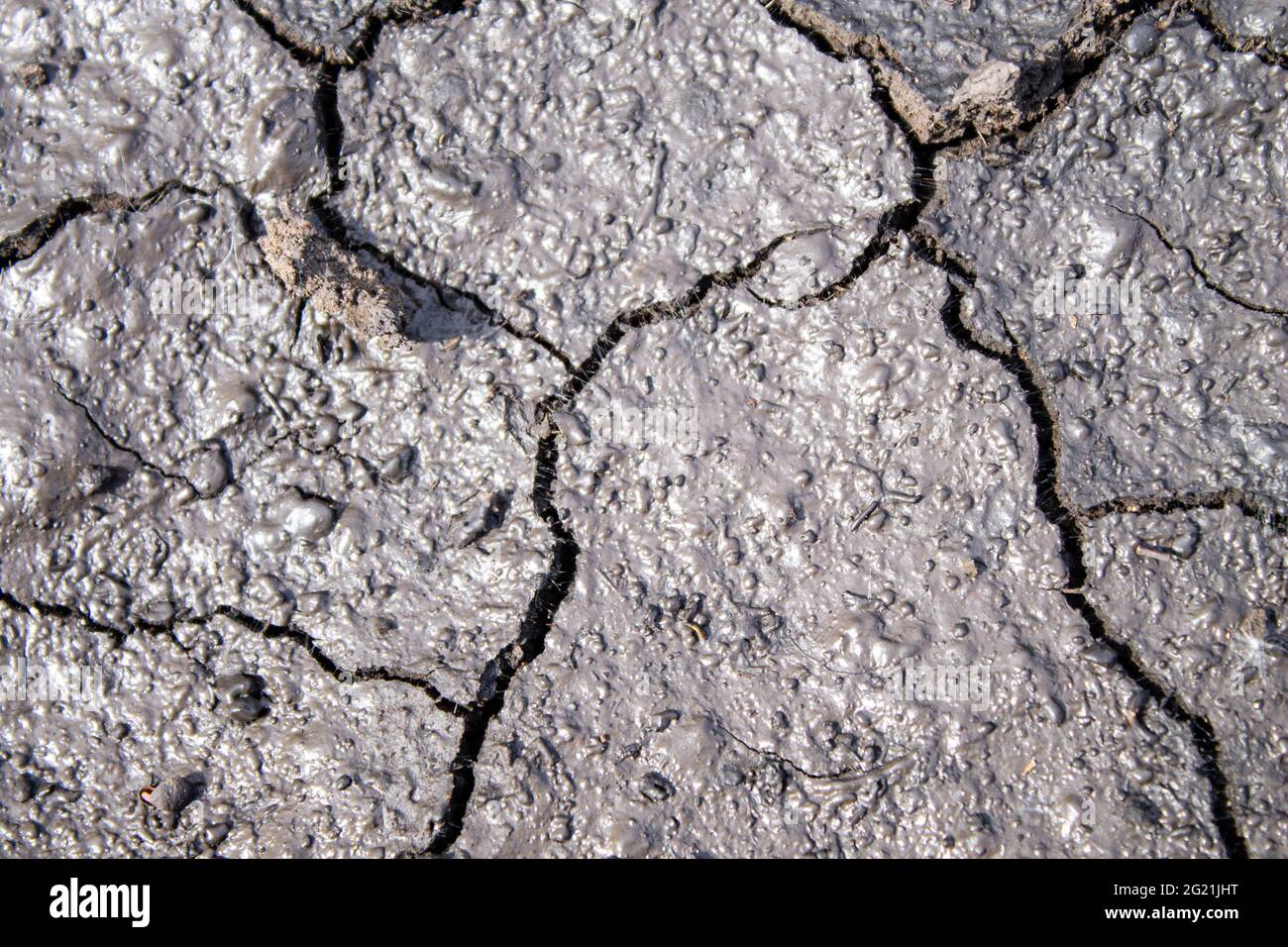 Rain crust hi-res stock photography and images - Alamy