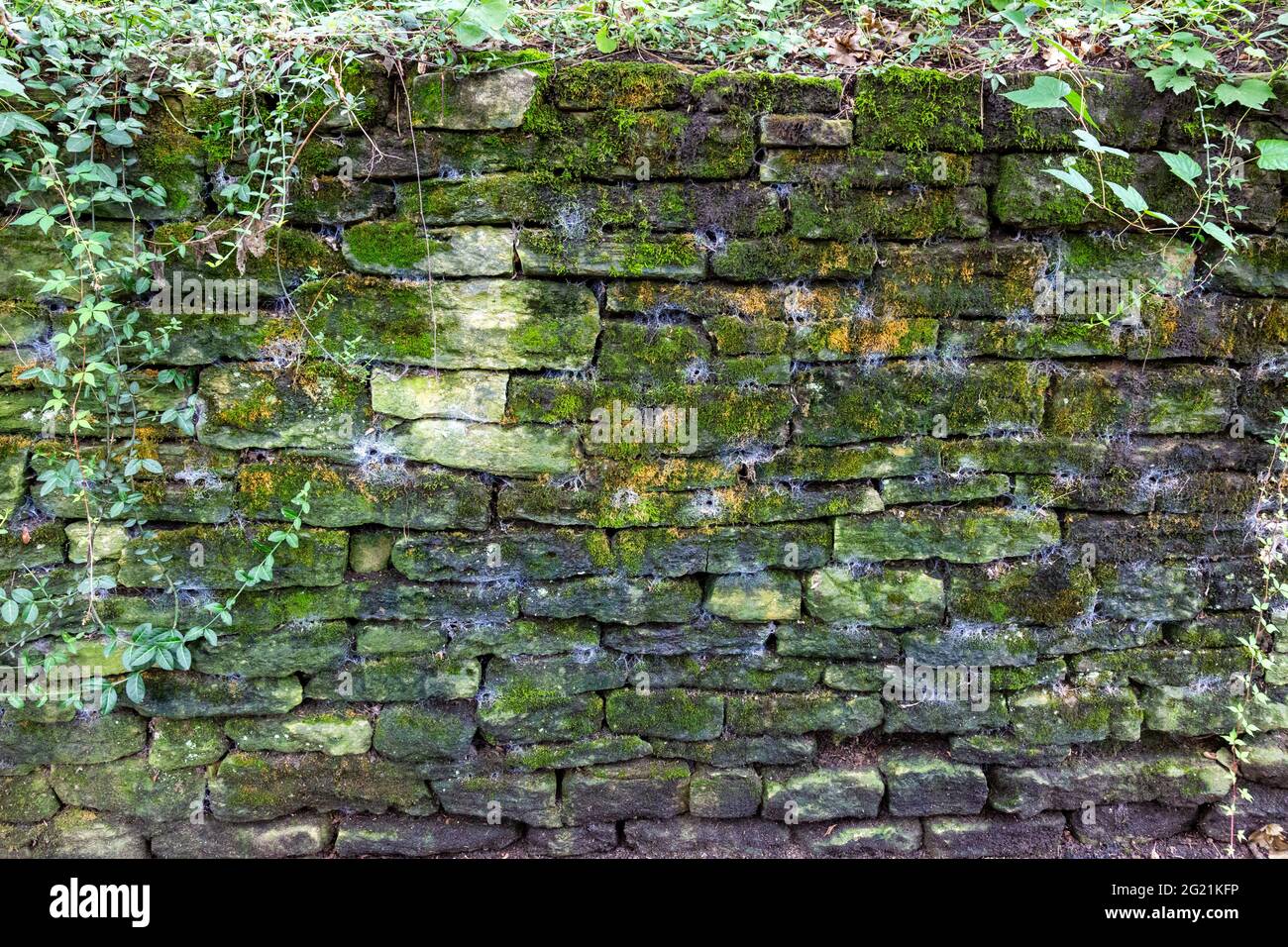 A moss covered stone wall in Ohio, USA Stock Photo - Alamy