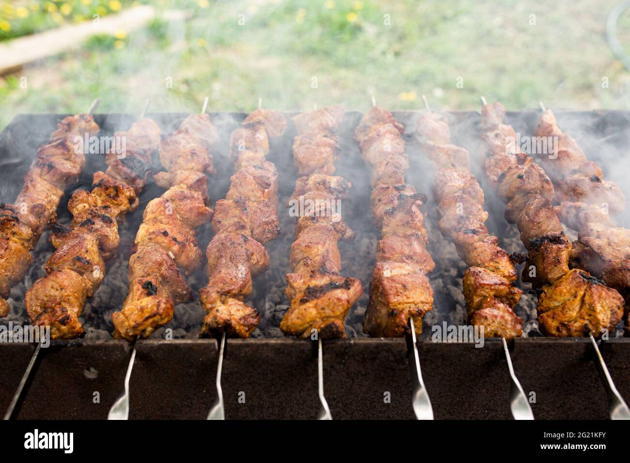 Weekend activities with family concept, tasty barbecue skewer with pork ...