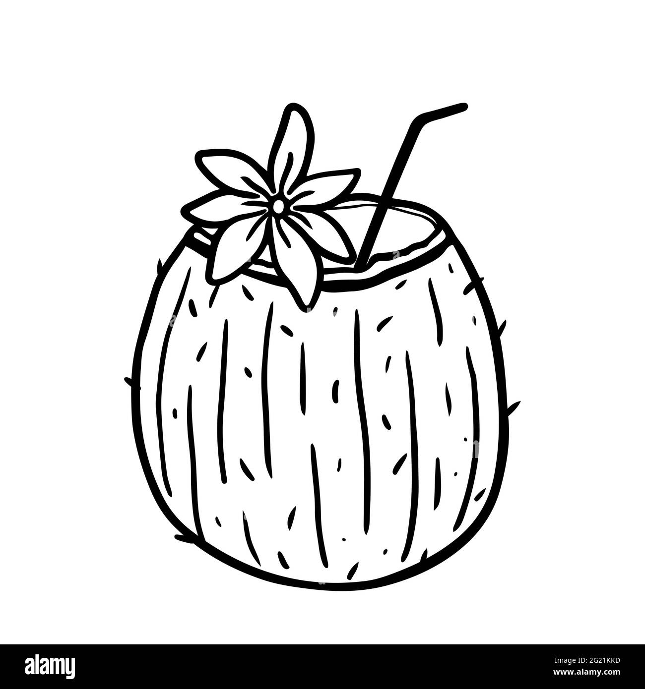 Coconut Drink Drawing