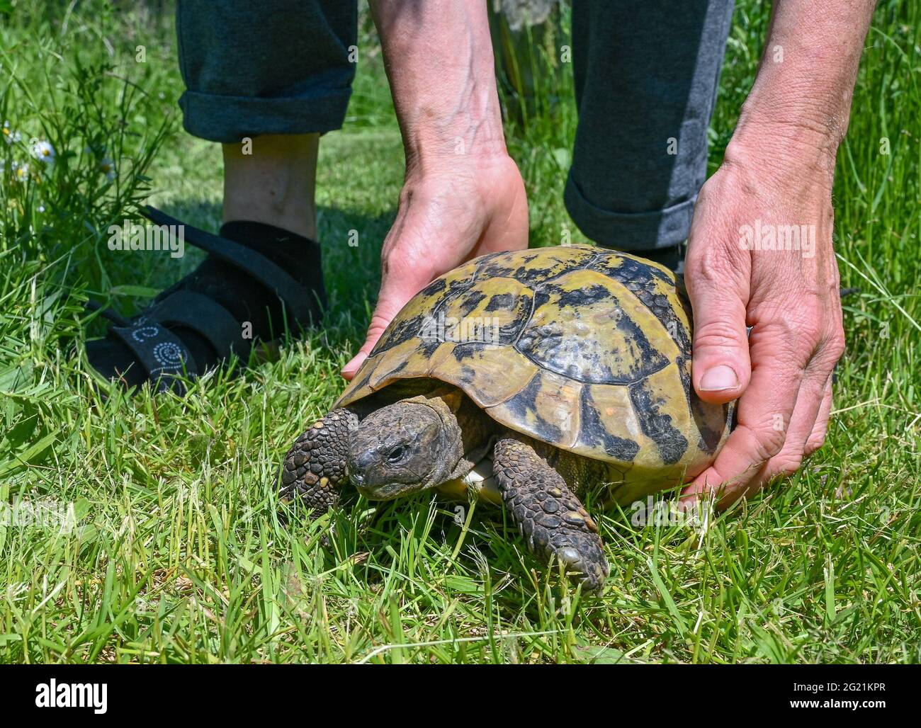 Kruge, Germany. 03rd June, 2021. Susanne Altvater, environmental lawyer ...