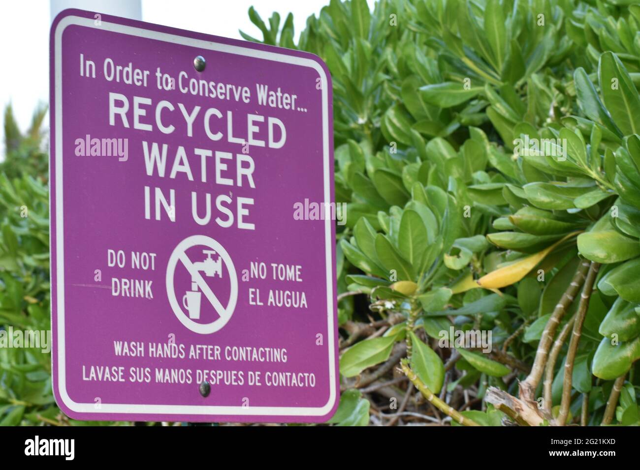 Recycled water use caution sign Stock Photo - Alamy