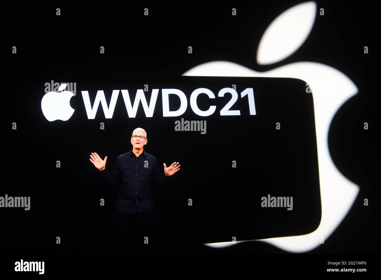 Ceo technology logo hi-res stock photography and images - Alamy