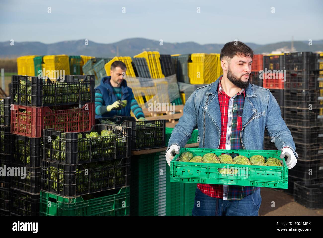 Worker carrying plastic crates hi-res stock photography and images - Alamy Worker carrying plastic crates hi-res stock photography and images - Alamy