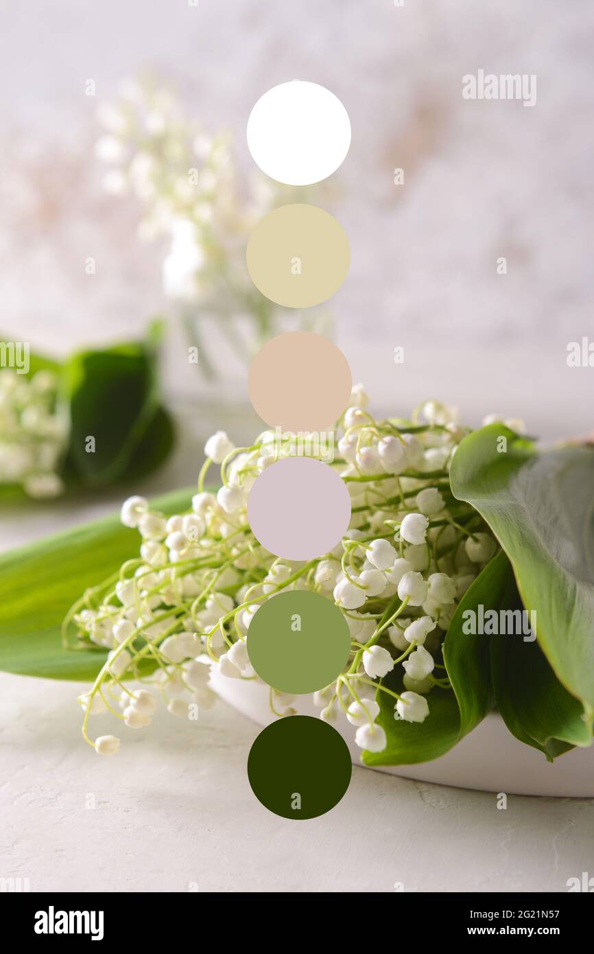Beautiful lily-of-the-valley flowers on light background. Different ...