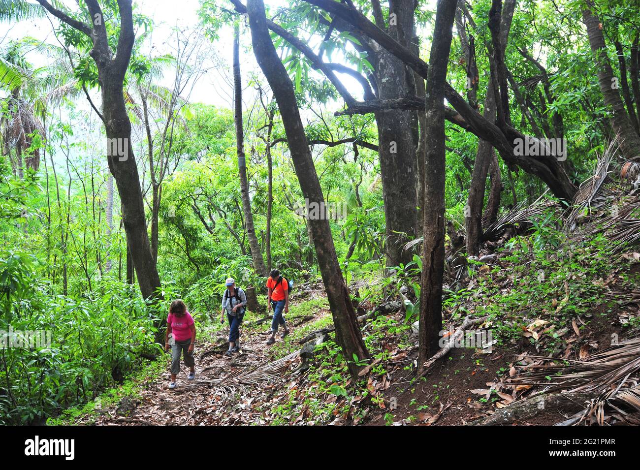 FRENCH POLYNESIA. MARQUESAS ISLANDS. ISLAND OF NUKU HIVA. FROM THE ...