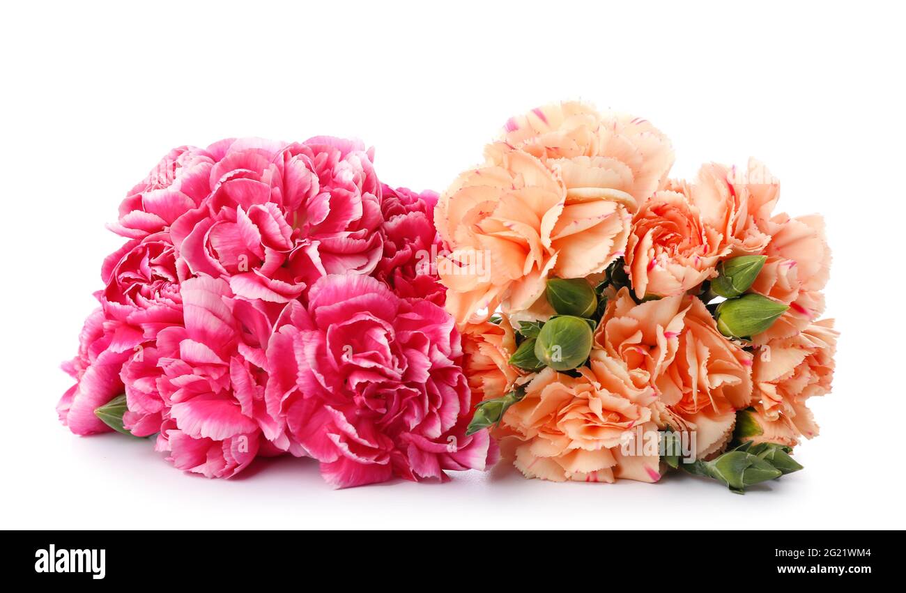 Beautiful carnation flowers on white background Stock Photo - Alamy