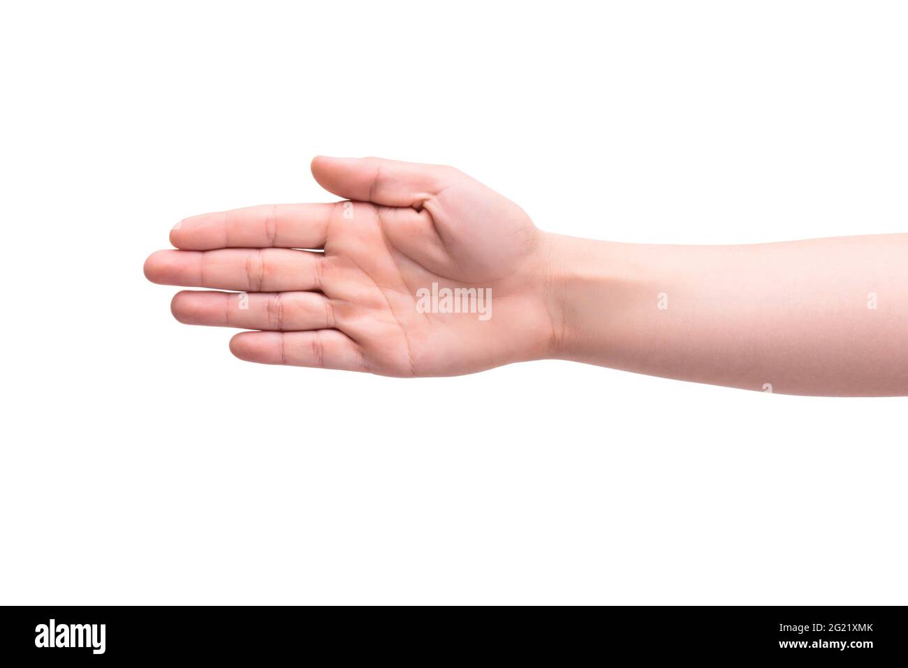 Friendly hand gesture, palm for handshake. Isolated on white background ...