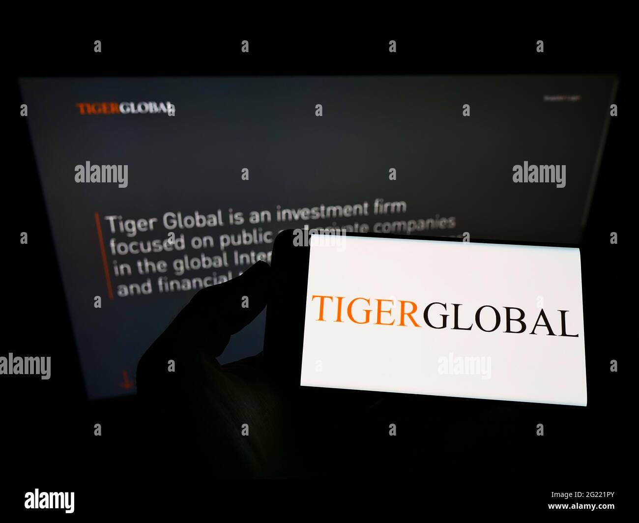 Tiger logo hi-res stock photography and images - Alamy