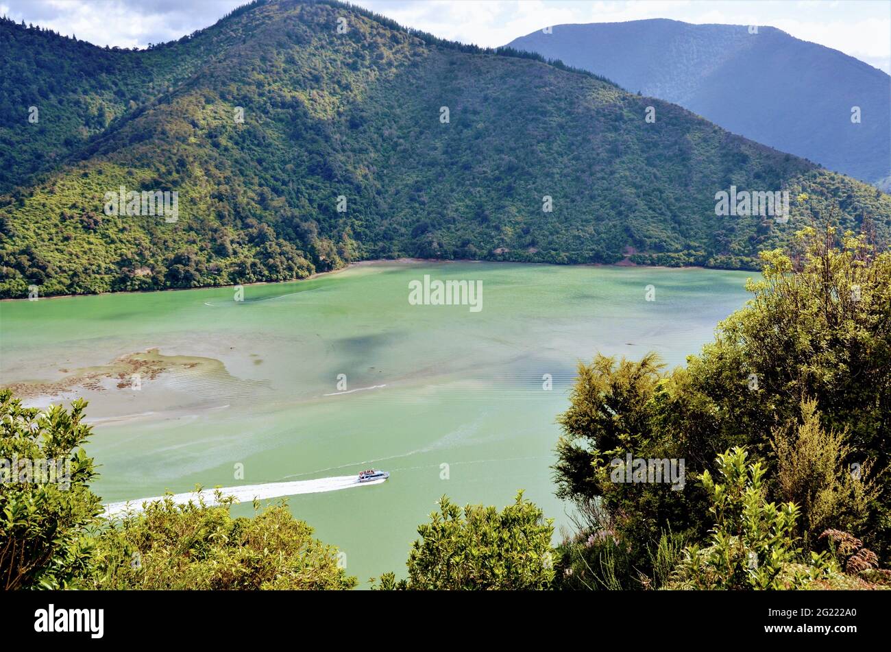 Cullen Point Lookout Marlborough Sounds New Zealand Stock Photo - Alamy