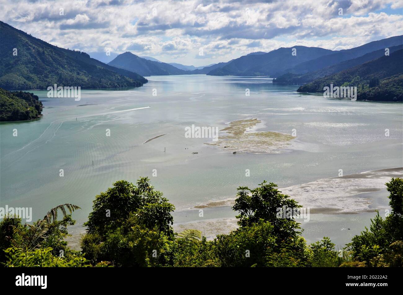 Cullen Point Lookout Marlborough new zealand Stock Photo - Alamy