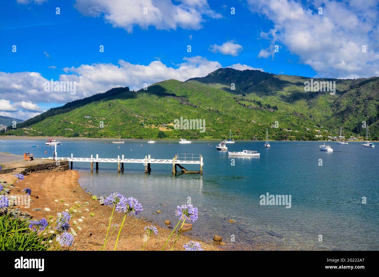 Groves Arm Jetty Picton new zealand Stock Photo - Alamy