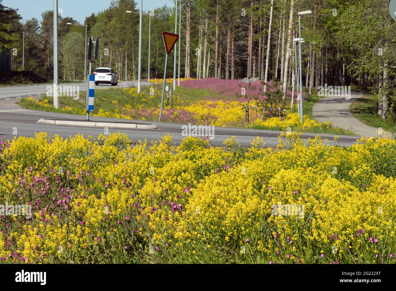 Colorful flowers cover the roadside. Stones, trees and street lights ...