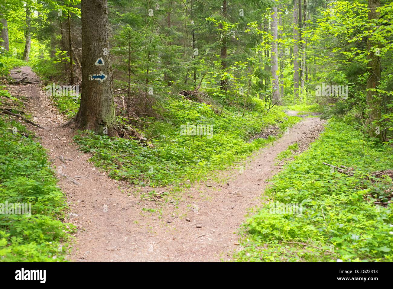 Marking tourist route painted on hi-res stock photography and images ...