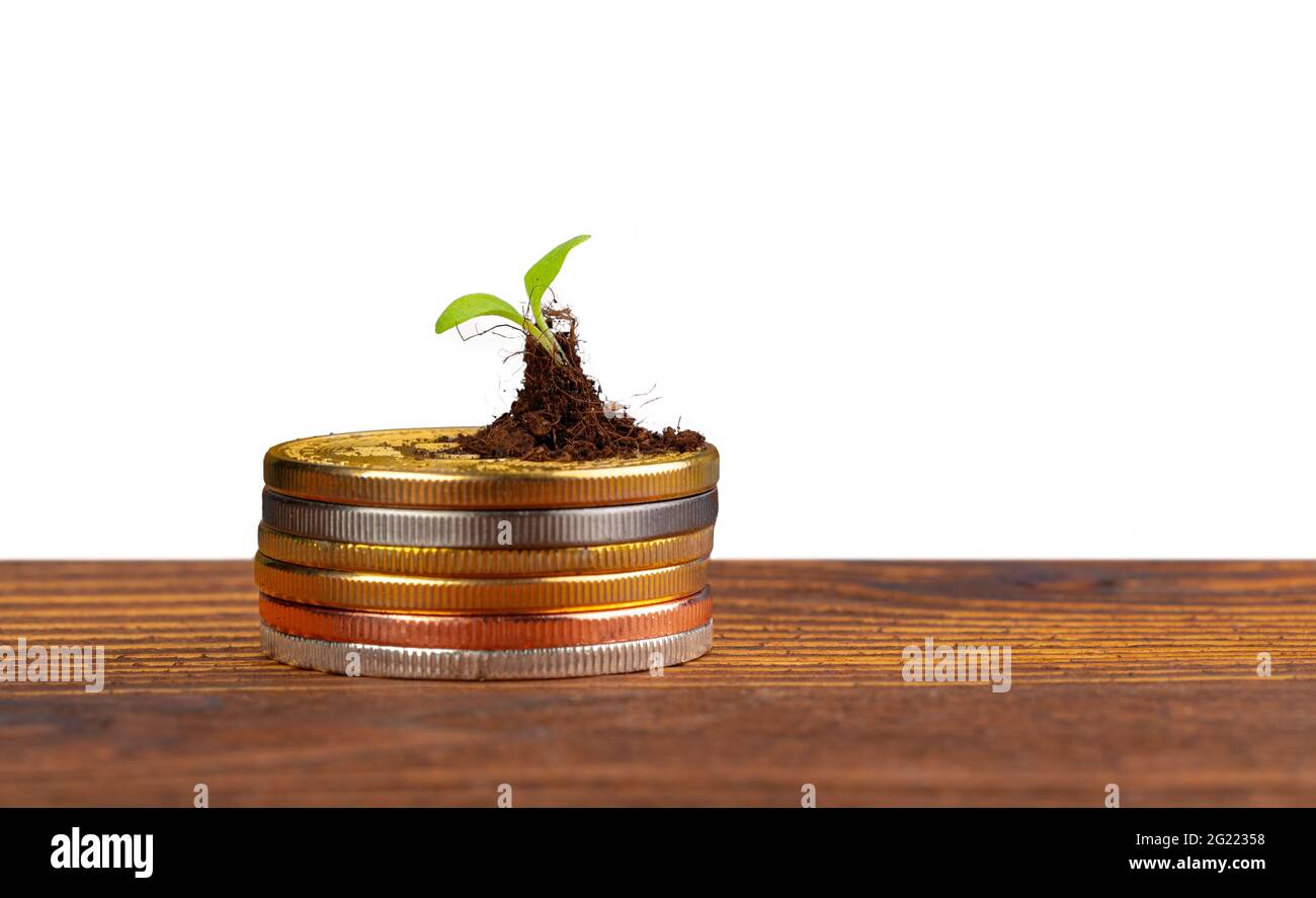 Coins stack of money and growing plant, financial concept Stock Photo ...