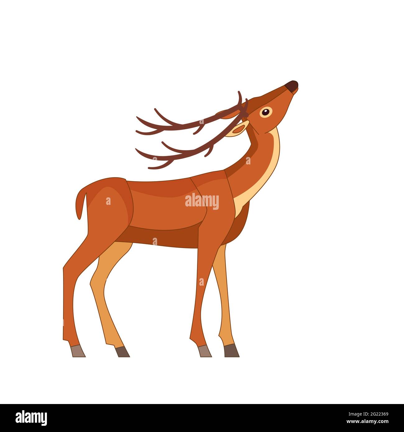 Cute Deer Drawing