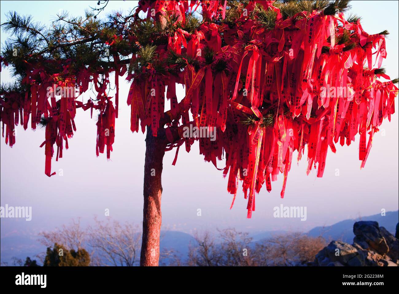 Good luck ribbons on a tree at Fragrant Hills, China Stock Photo - Alamy