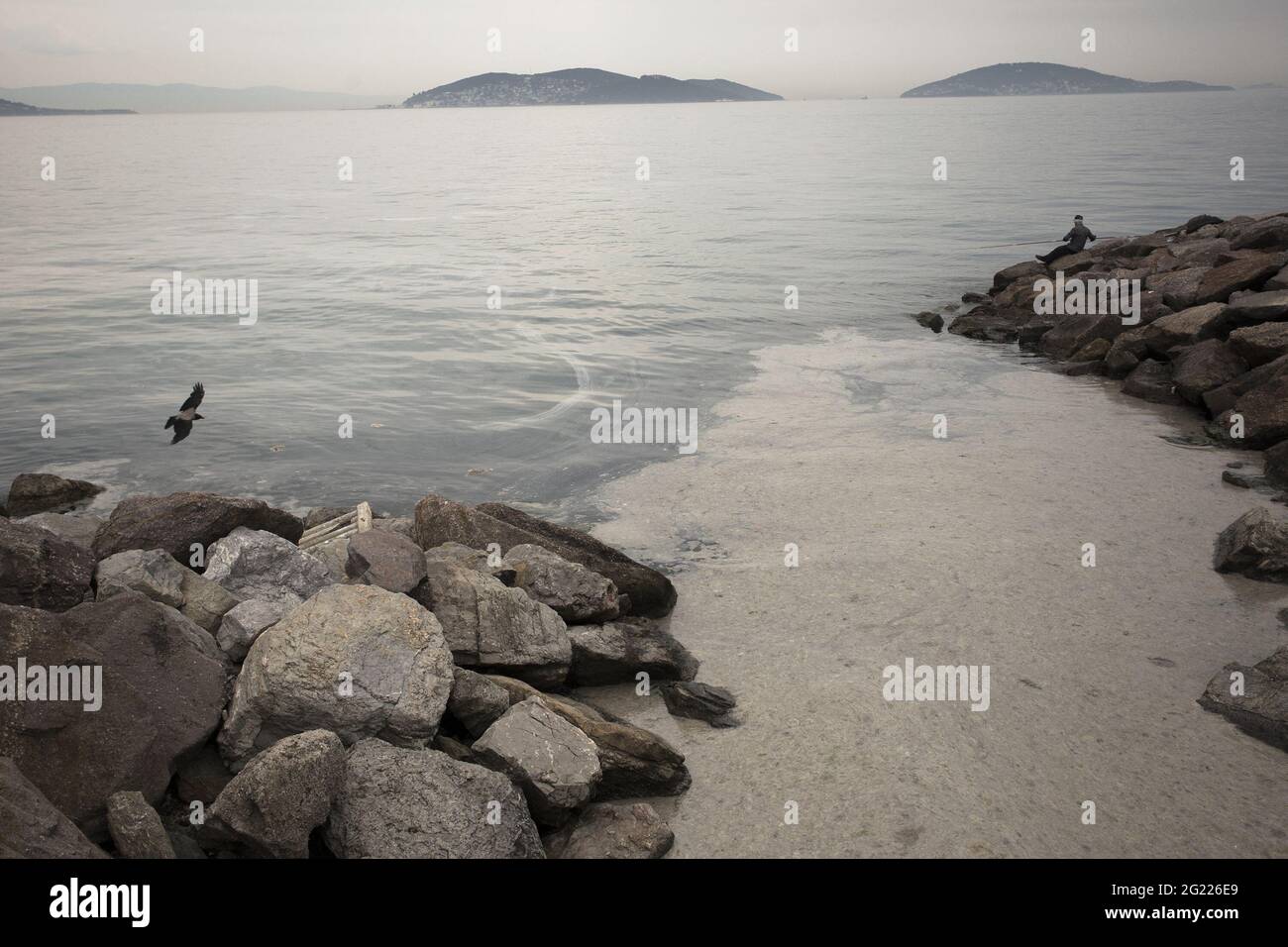 Photo taken on June 7, 2021 shows a mucus-like substance known as sea ...