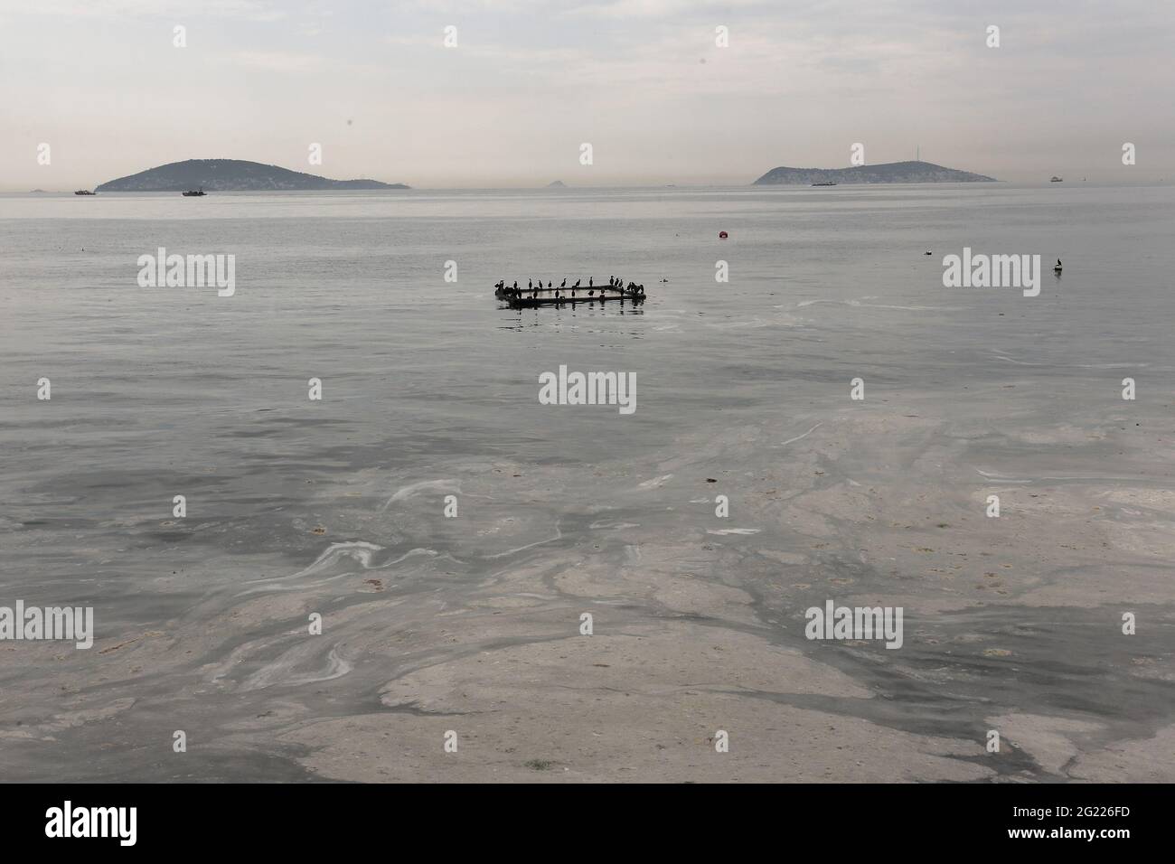 Photo taken on June 7, 2021 shows a mucus-like substance known as sea ...