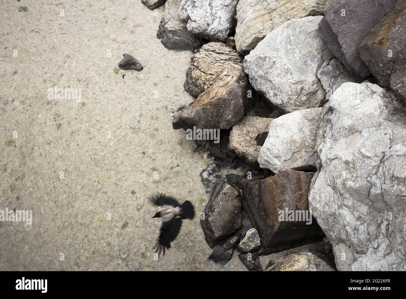 Photo taken on June 7, 2021 shows a mucus-like substance known as sea ...