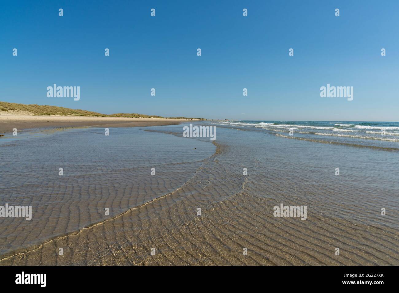 An idyllic golden sand beach in northern Denmark with sand dunes and ...