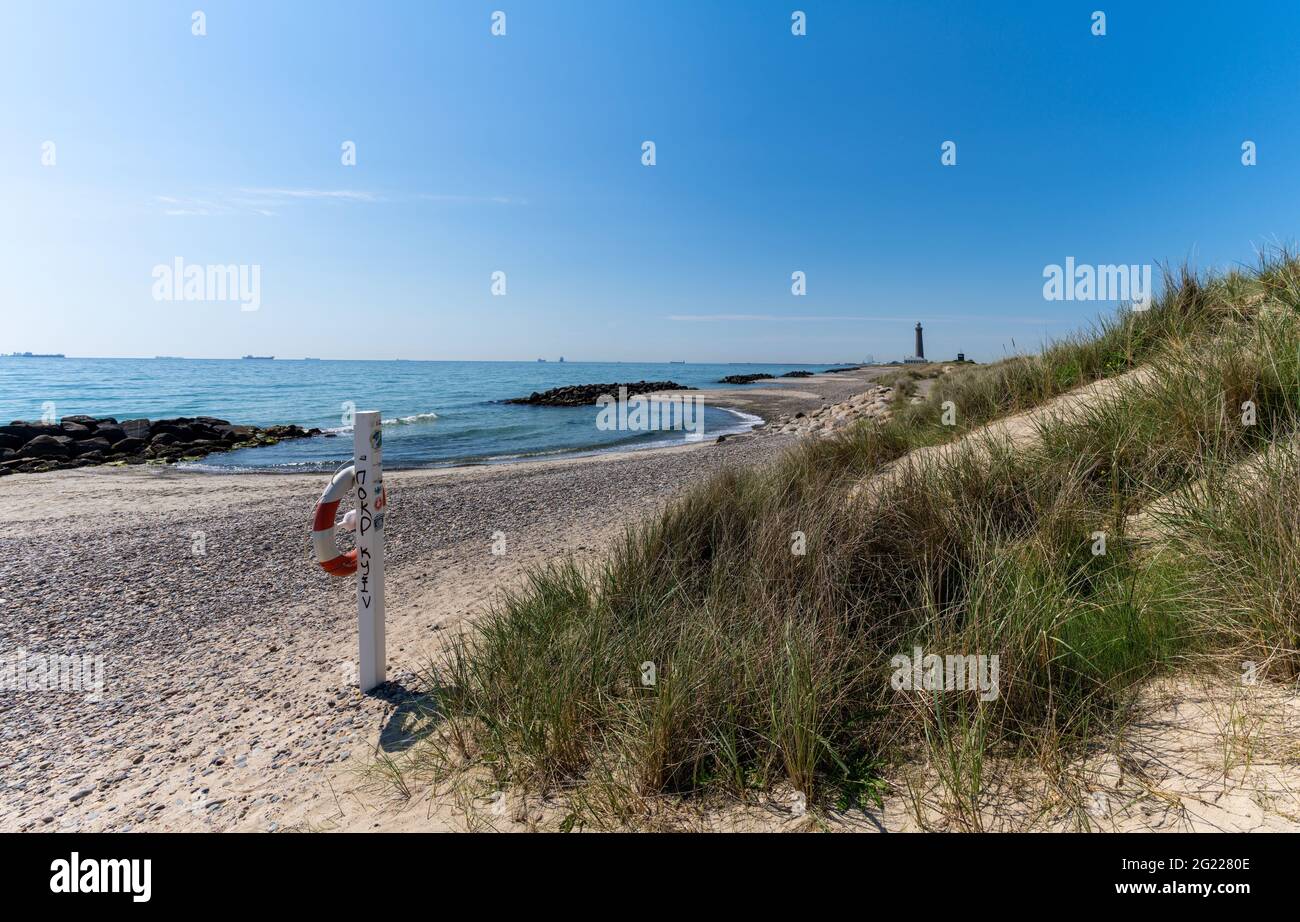 A beautiful empty beach behind sand dunes with rocky storm groins to ...