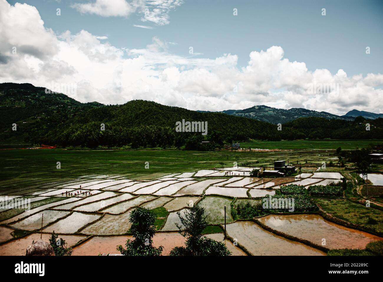Aerial view of rice terraces Stock Photo - Alamy