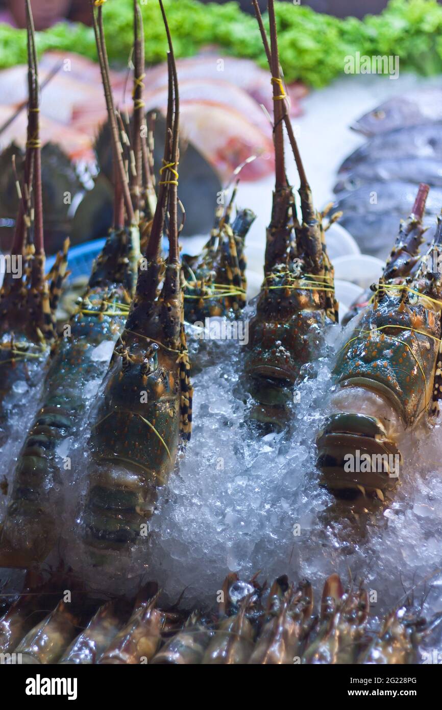 Display of lobsters hi-res stock photography and images - Alamy