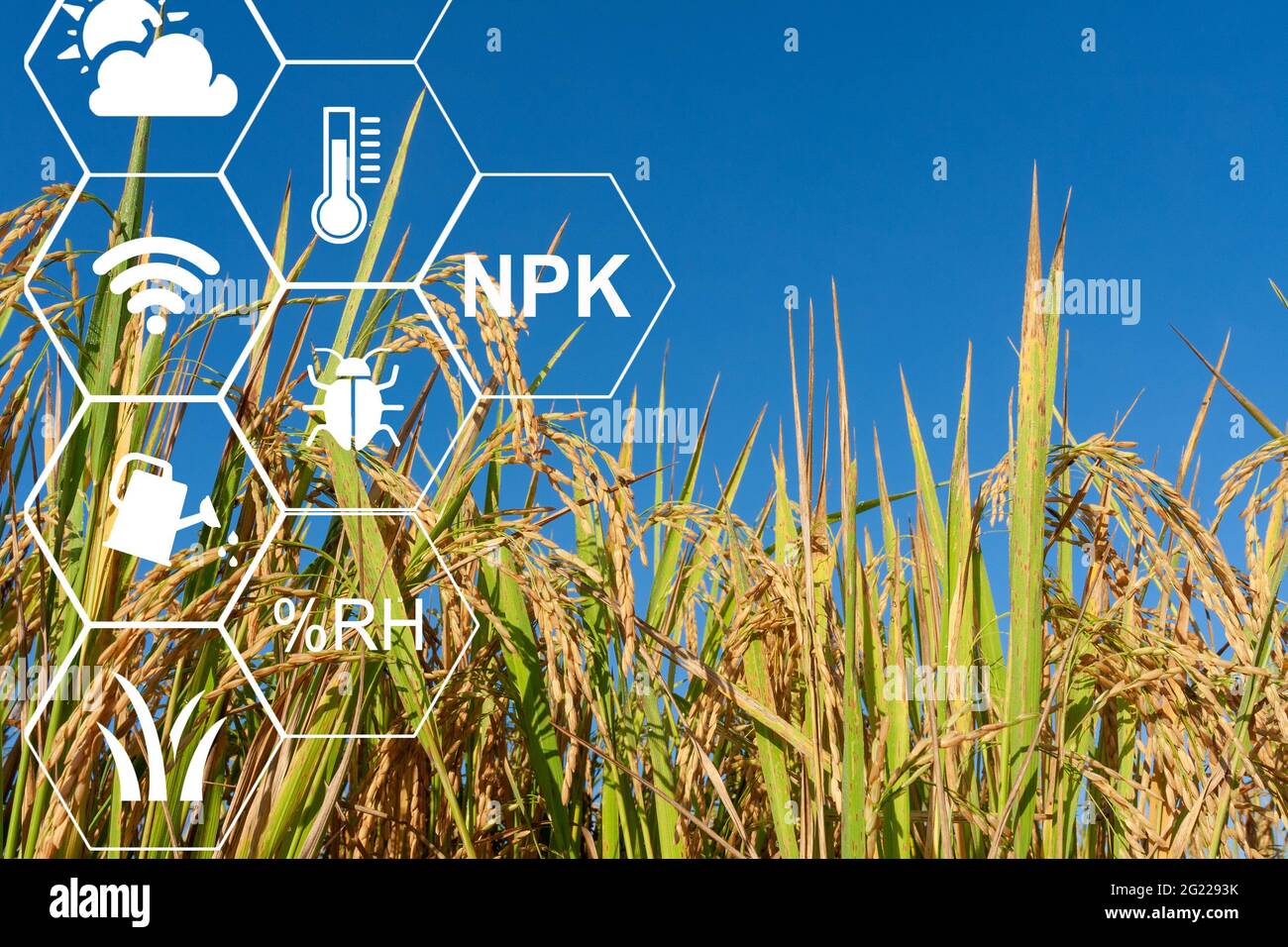 Agriculture water sensor hi-res stock photography and images - Alamy