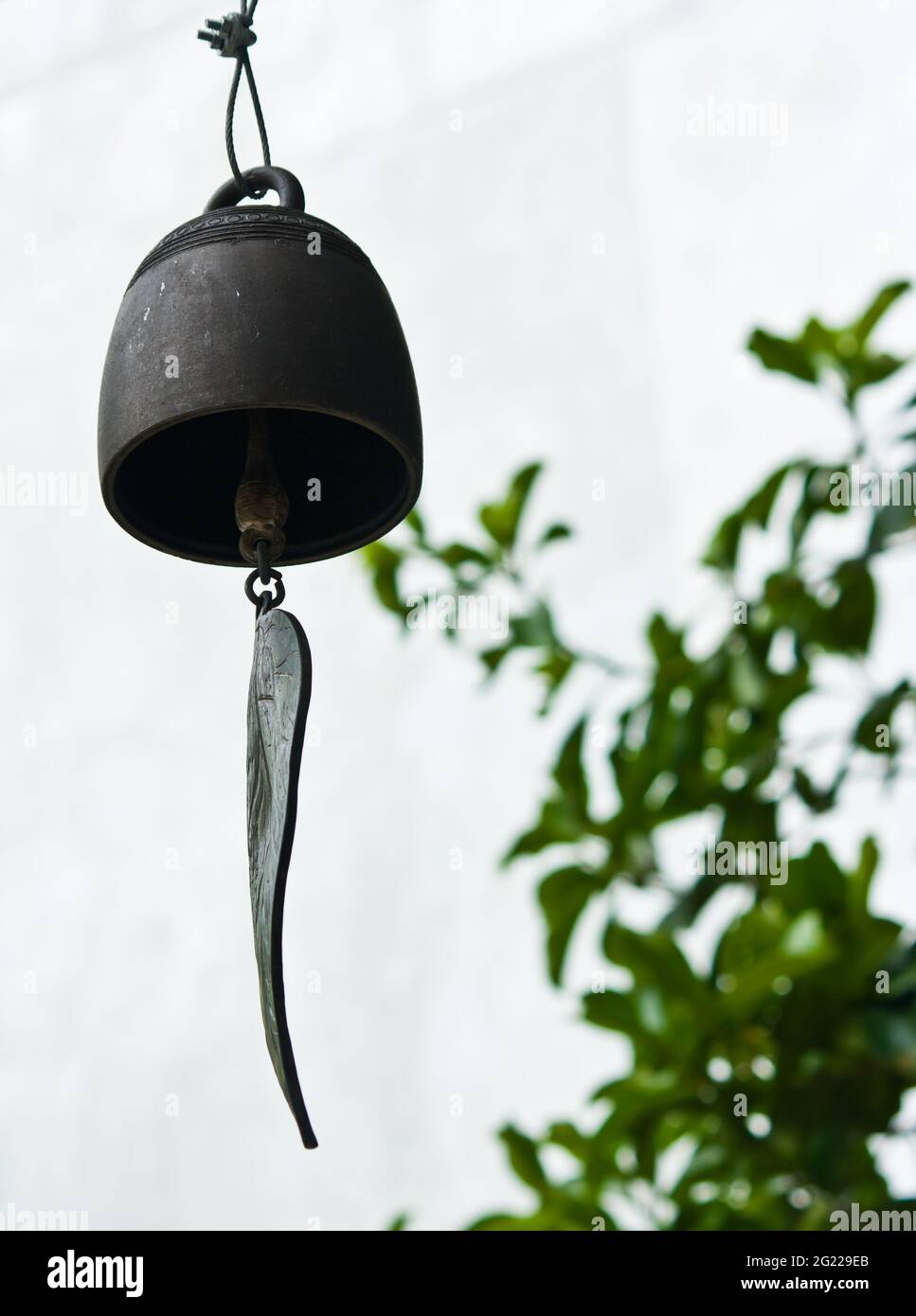 Tradition buddhist wishing bell with green leaves background Stock ...