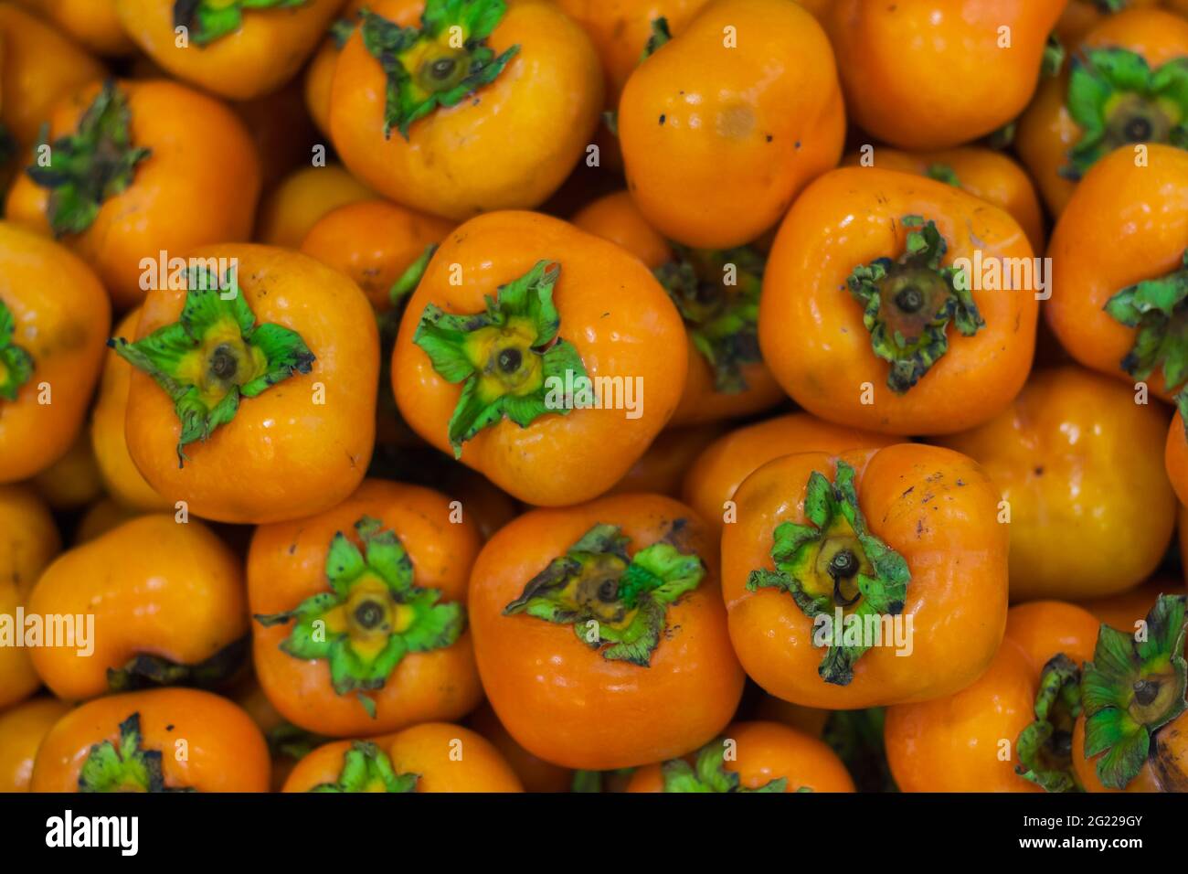 Group of Persimmon fruit background in Vegetables Market Stock Photo ...
