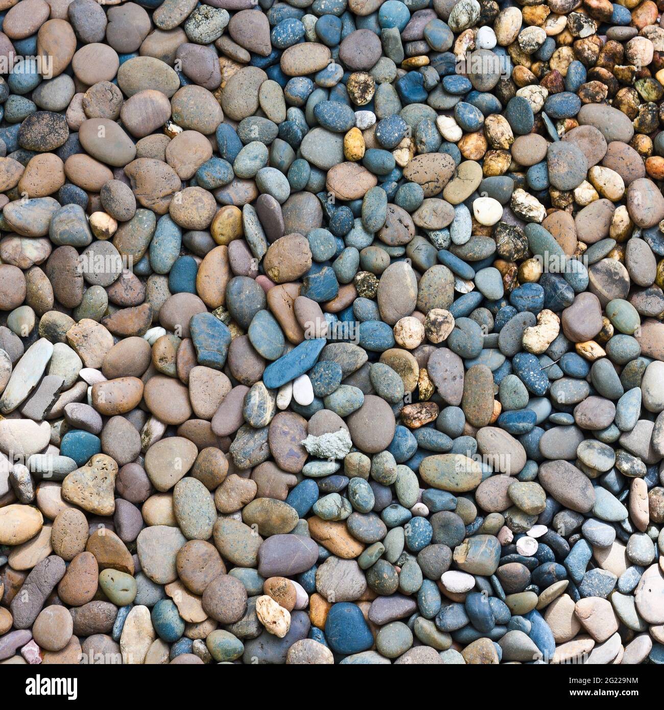 Abstract background with multi colors round peeble stones Stock Photo - Alamy