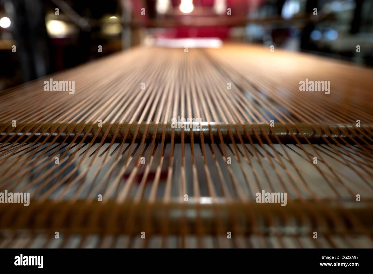 Golden thread on a vintage loom at the historical Bevilacqua weaving in ...