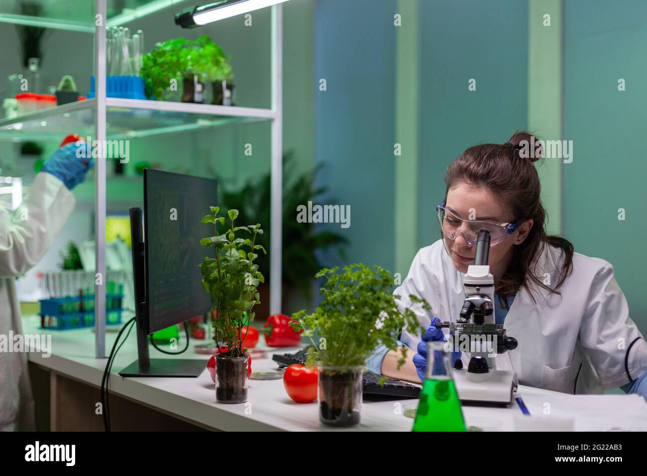 Biologist scientist looking at leaf sample using medical microscope ...