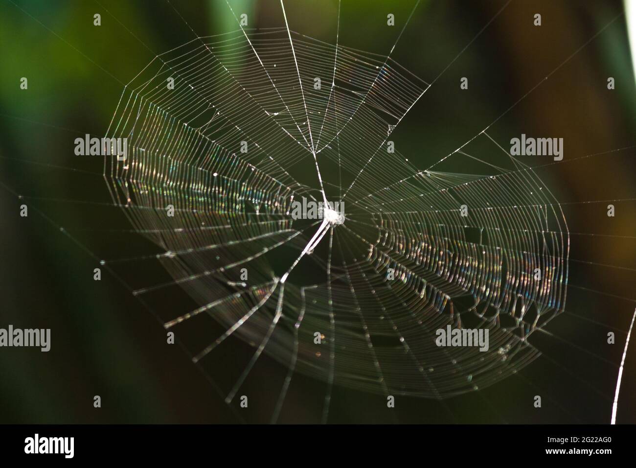 Beautiful and colorful spider web with dark background Stock Photo - Alamy